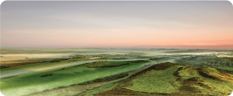 Dawn Pork & Bacon – Quality Irish Pork Products